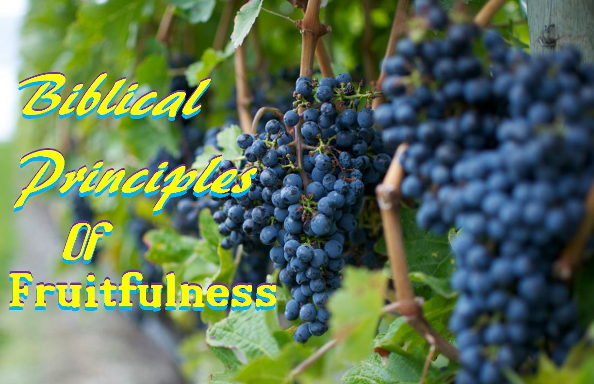 BIBLICAL PRINCIPLES OF FRUITFULNESS – PART ONE – MVC